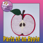 Apple Anatomy Educational Felt Pattern with Instruction & Worksheet ...