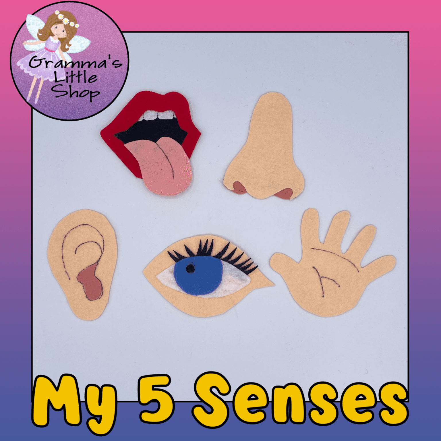 5 Senses Felt Craft Set: 5 Items for Each Sense, Directions, and ...