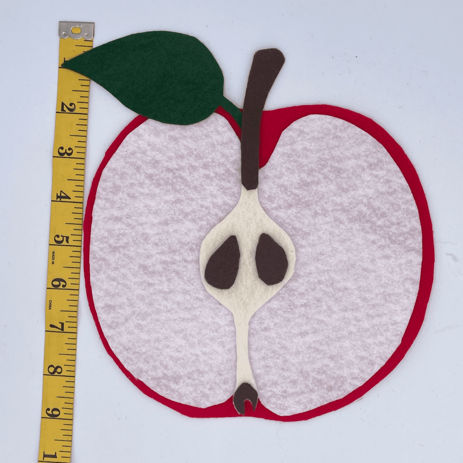 Apple Anatomy Educational Felt Pattern with Instruction & Worksheet ...