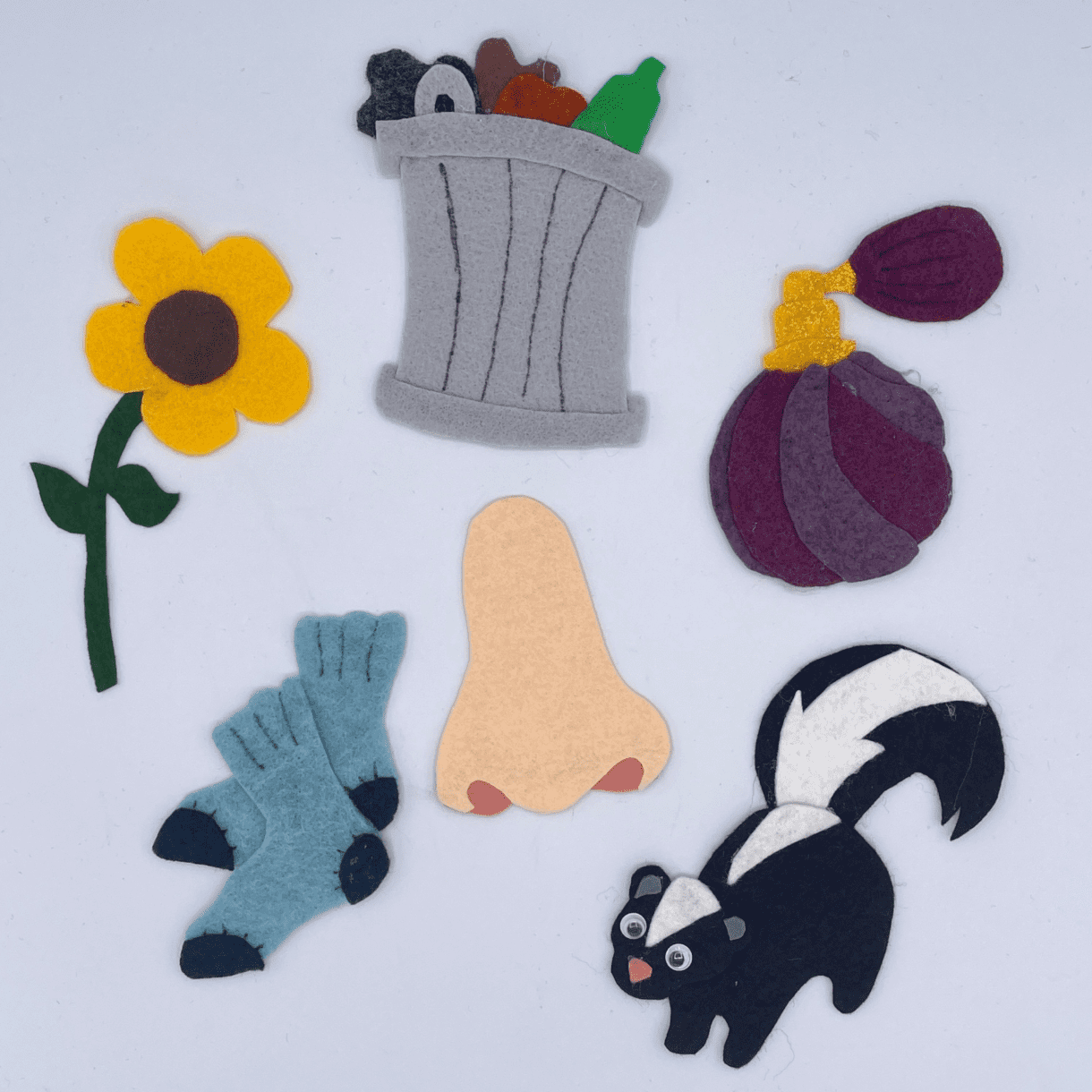 5 Senses Felt Craft Set: 5 Items for Each Sense, Directions, and ...