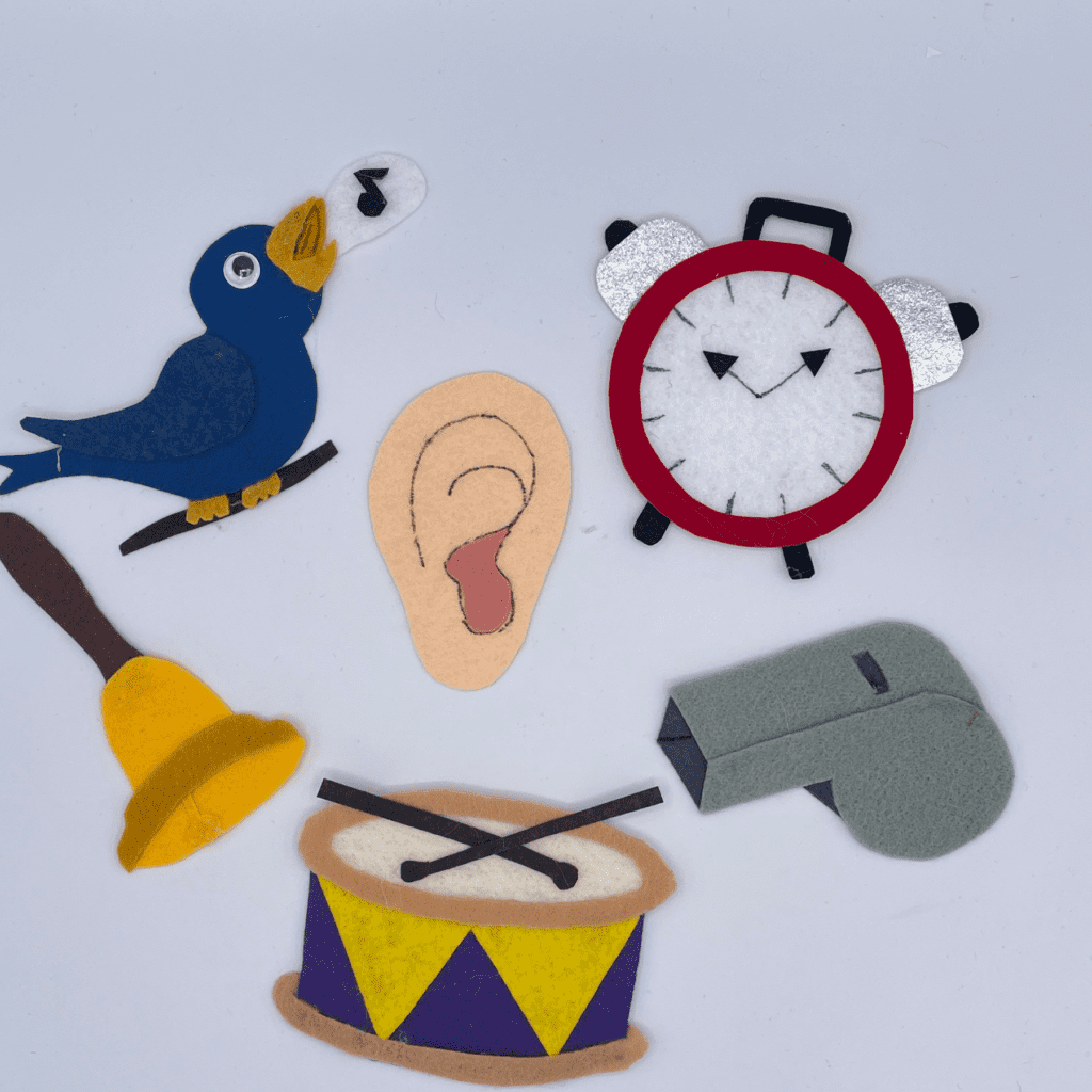 5 Senses Felt Craft Set: 5 Items for Each Sense, Directions, and ...